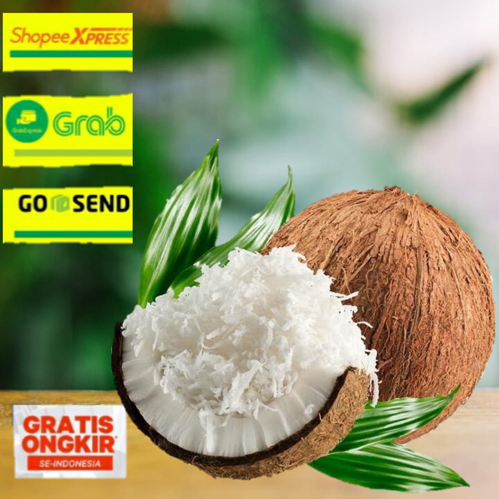 Jual KELAPA PARUT SATU BUTIR | SETENGAH BUTIR | KELAPA UTUH KELAPA ...
