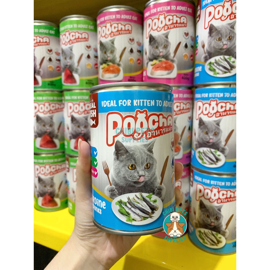 Jual POOCHA Makanan Kucing Basah Kaleng 400 gram Cat Wet Food | Shopee ...