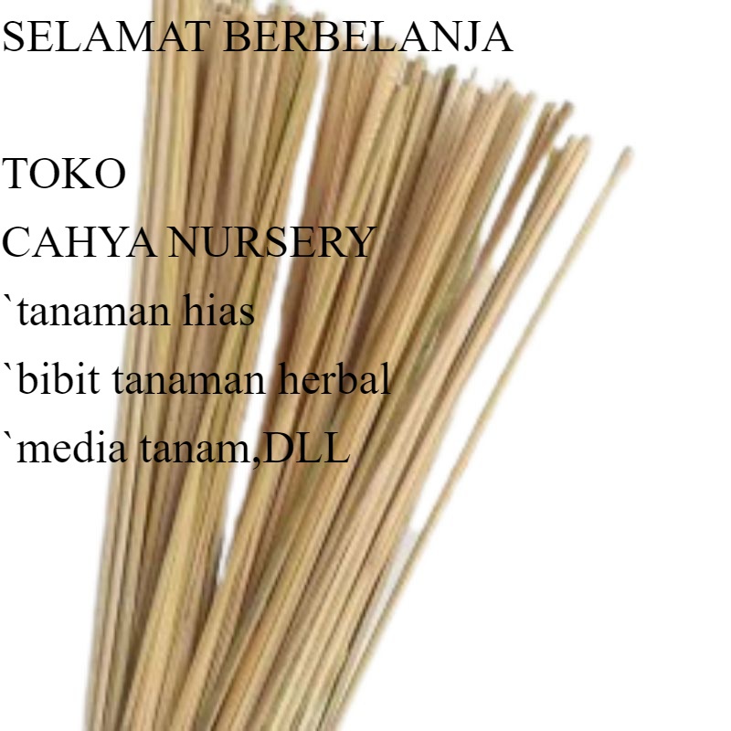 Jual 100cm Bambu Bilah 1 meter, Bambu Ajir, Bambu Turus, Bambu Belah ...