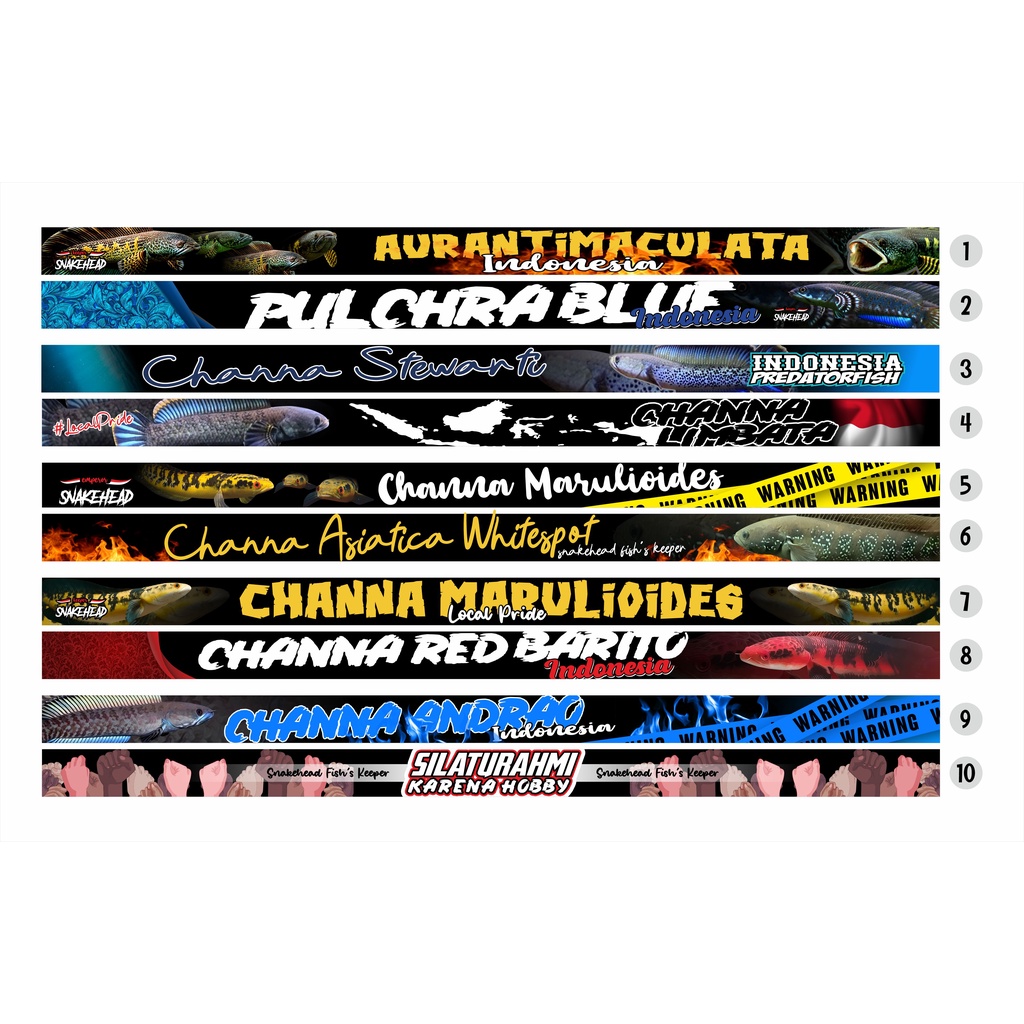 Jual SNAKEHEAD FISH CHANNA EDITION (Bisa Request) Stiker aquarium ...