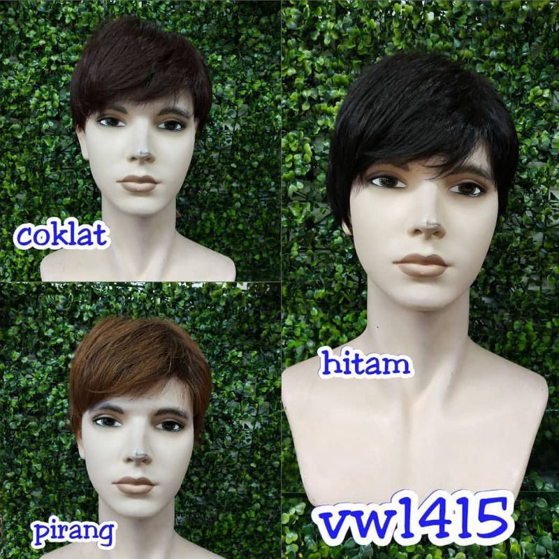Jual WIG / RAMBUT PALSU PRIA COWO VW1415 (BISA CUCI CATOK) | Shopee ...