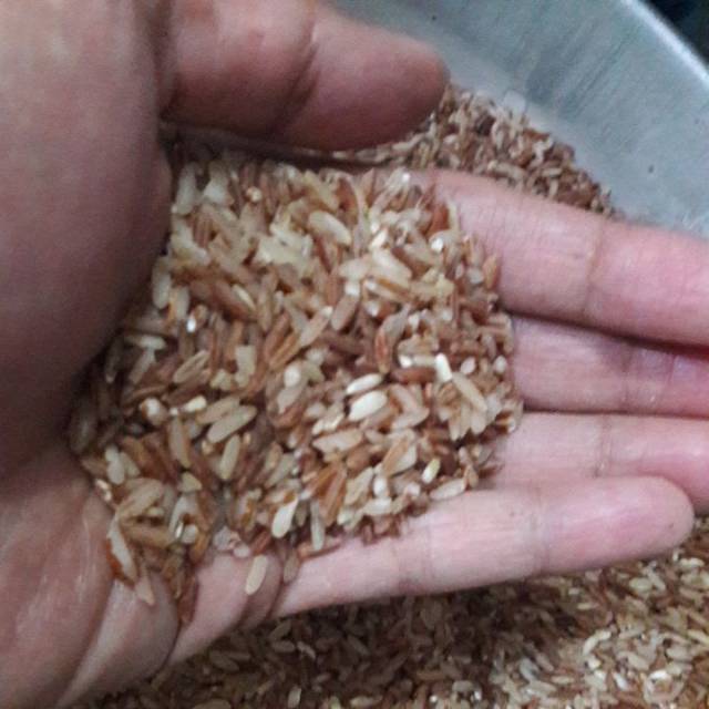 Jual Beras Merah Kampung Sawah / Darat Organik / Darat Anorganik (1Kg ...