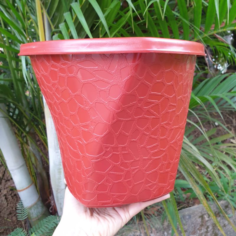 Jual Pot BJP TWISTER 20 (22cm) Pot plastik motif batu coral Pot Tebal ...
