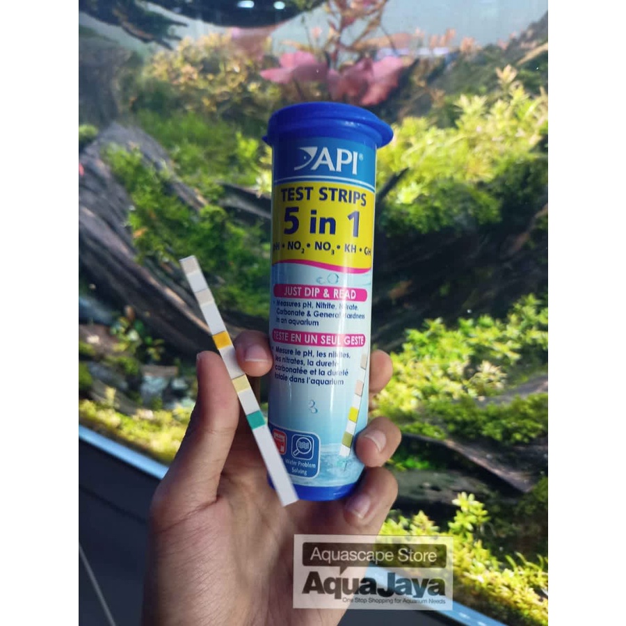 Jual API 5in1 Test Strips 1pcs Kertas Lakmus Test Ph Kh Gh Nitrite ...