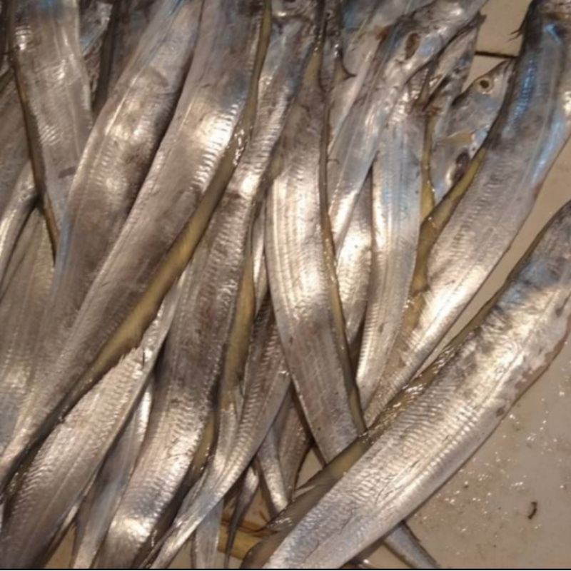 Jual jual ikan layur segar per 500gram | Shopee Indonesia Jual jual ikan layur segar per 500gram | Shopee Indonesia