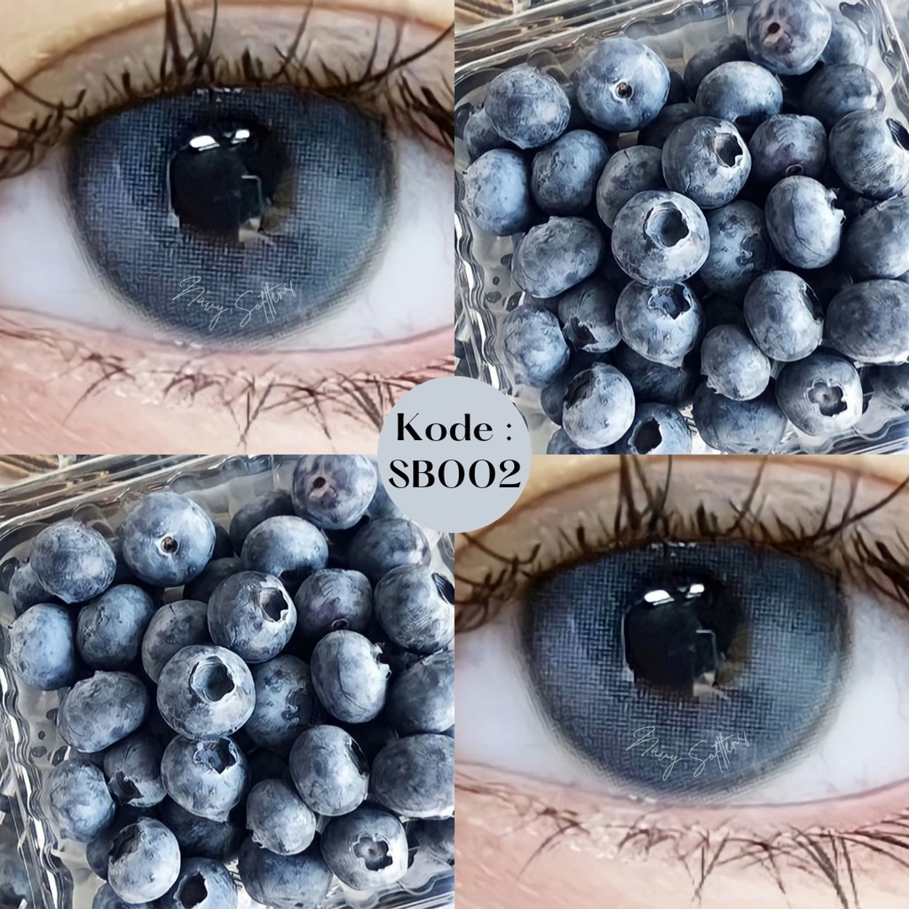 Jual [ Free Case + Air 60ml ] SB002 I Softlens Blue I Softlens Biru I ...