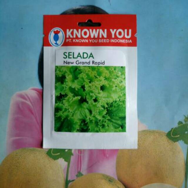Jual Benih Selada Hijau NEW GRAND RAPID 5gr | Shopee Indonesia