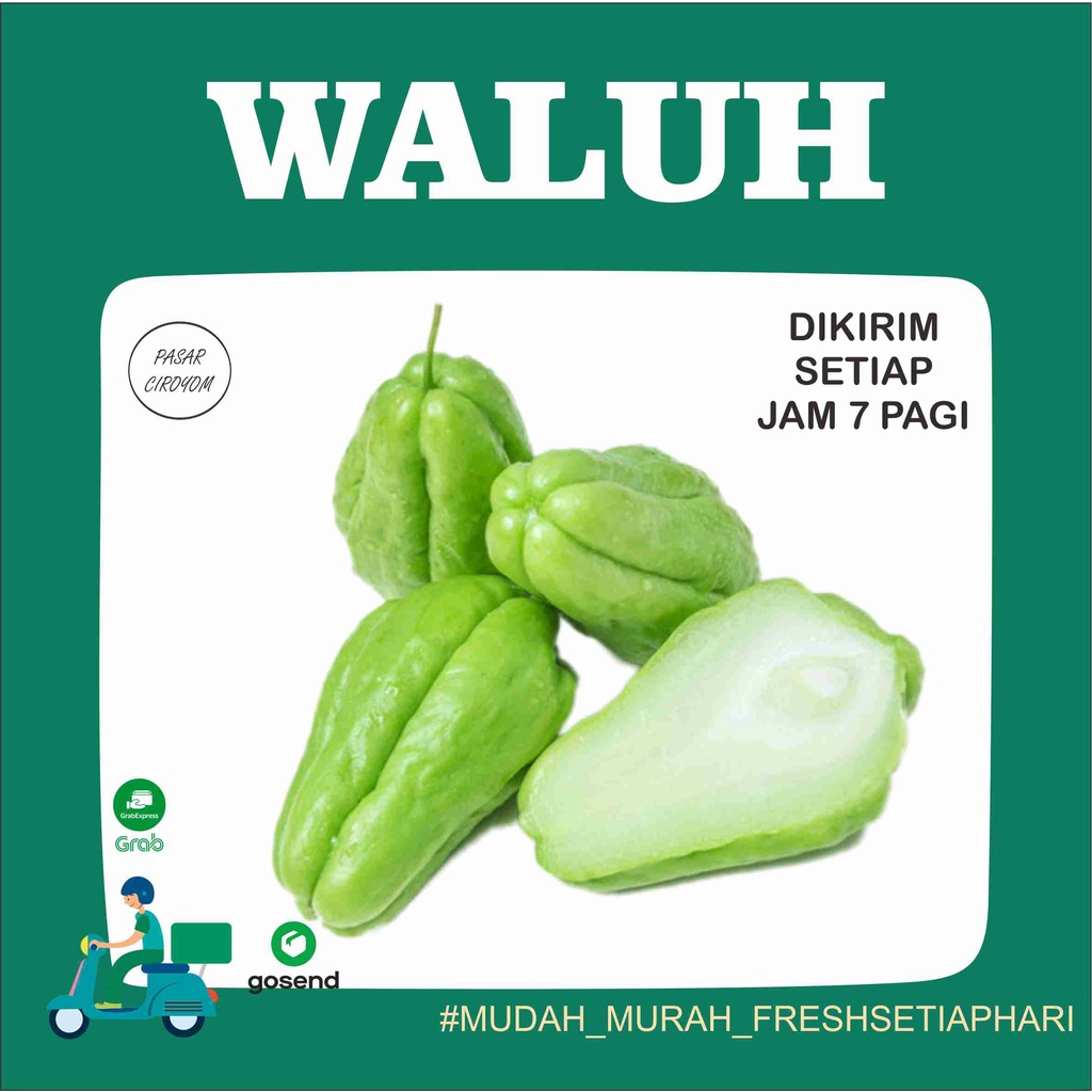 Jual LABU SIAM KECIL WALUH KECIL LEJET FRESH MURAH BANDUNG 1KG | Shopee ...