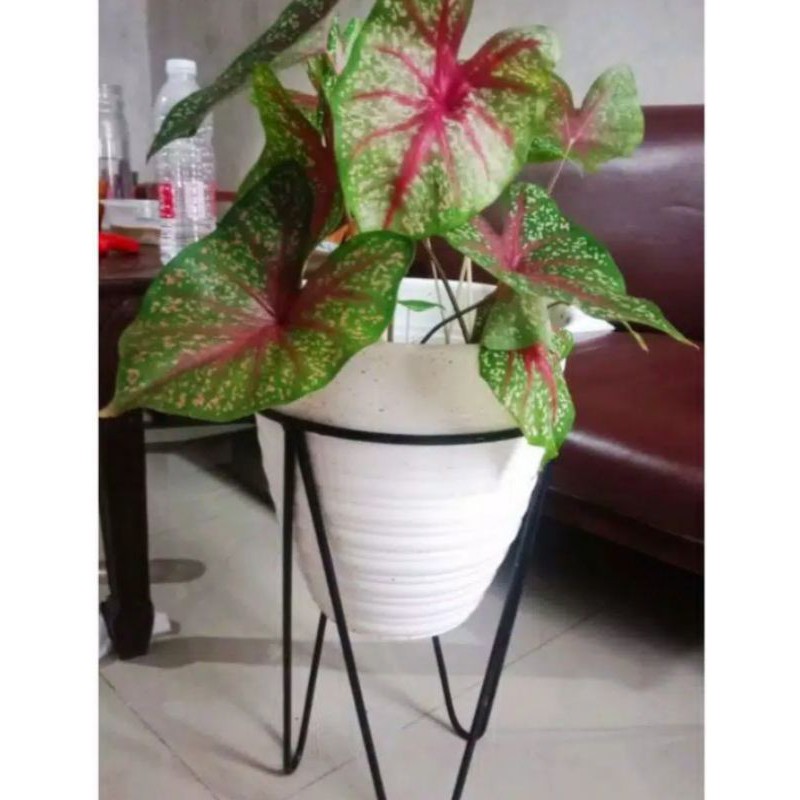 Jual standing pot tanaman / dudukan pot bunga hias | Shopee Indonesia