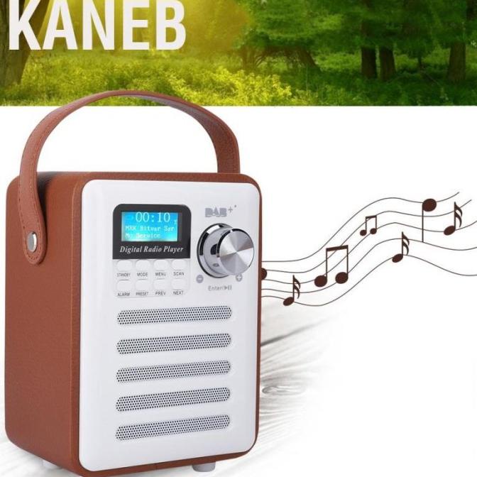 Jual Kaneb Mini Portable DAB/DAB FM Wi-Fi Digital Internet Radio ...