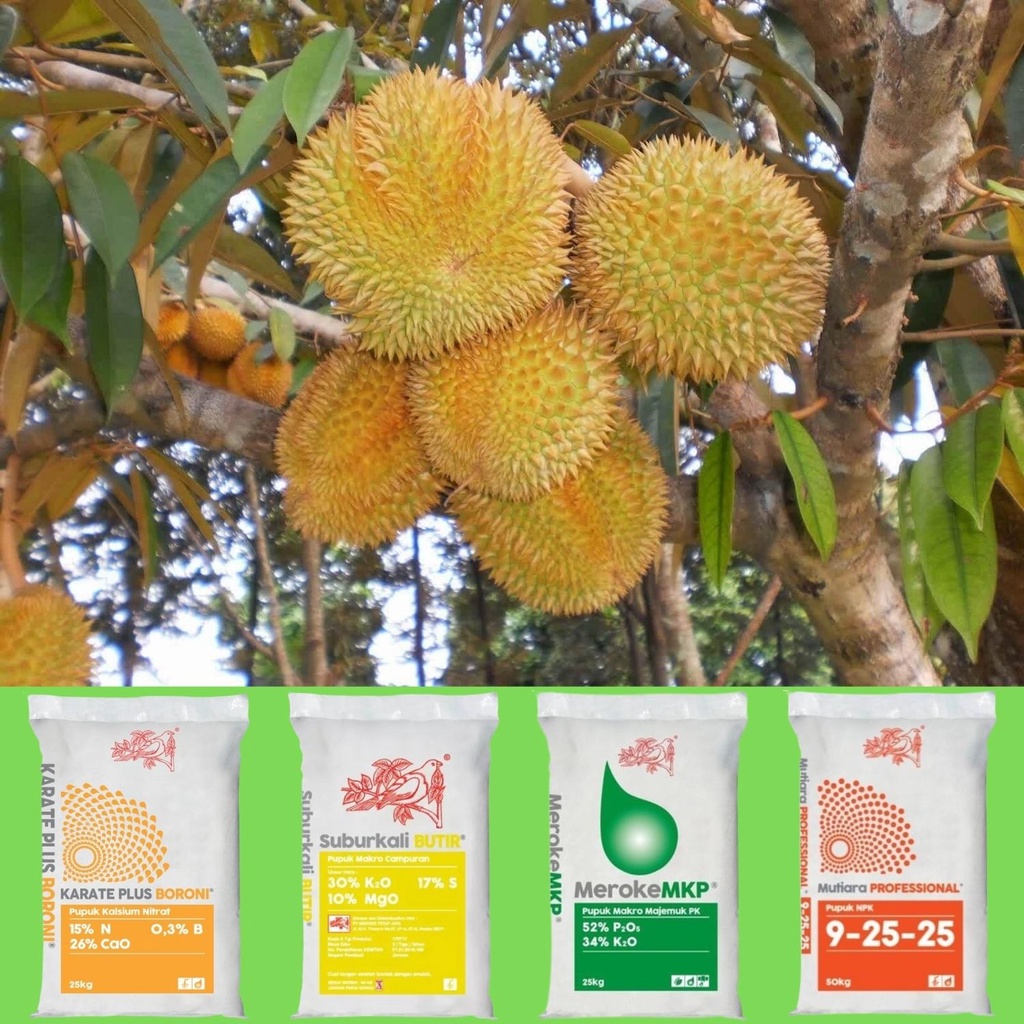 Jual Pupuk Durian Cepat Besar dan Berbuah Lebat Paket Lengkap | Shopee Indonesia