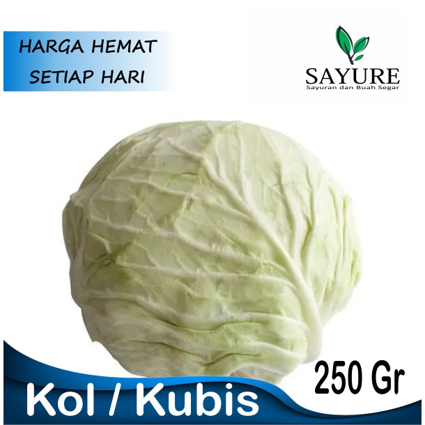 Jual KOL KUBIS SAYUR KOL PUTIH MURAH 250 GR | Shopee Indonesia