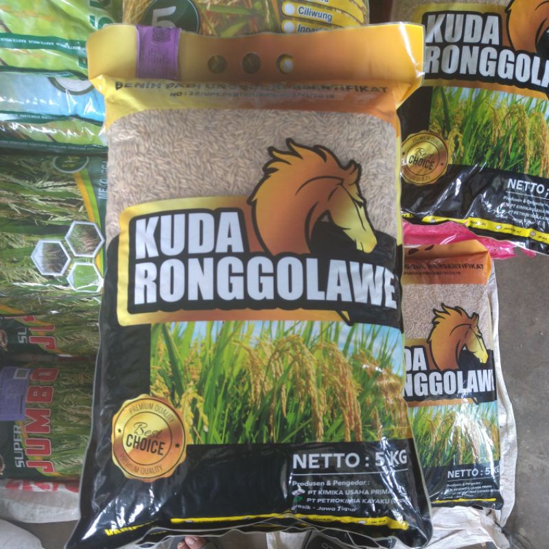 Jual Benih padi INDUKAN INPARI 32 KUDA RONGGOLAWE Kualitas super ...