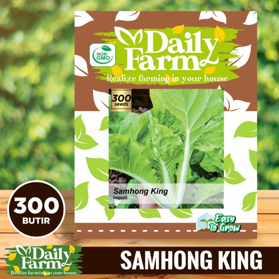 Jual Benih Bibit Sayur Sawi Keriting isi 300 Seeds Samhong King Daily ...