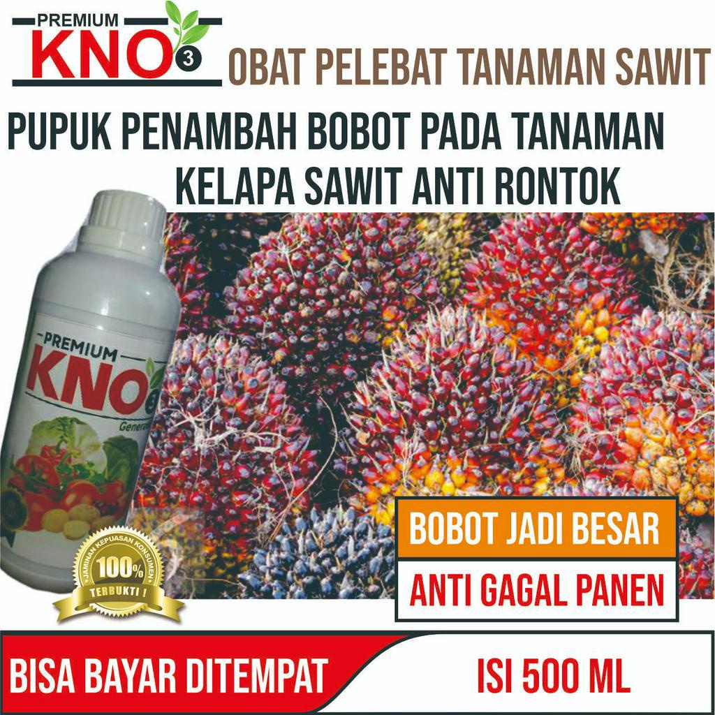 Jual Pupuk Pembesar Kelapa Sawit Anti Rontok Pupuk Premium kno3 Pupuk Pelengkap Cair Menyuburkan ...