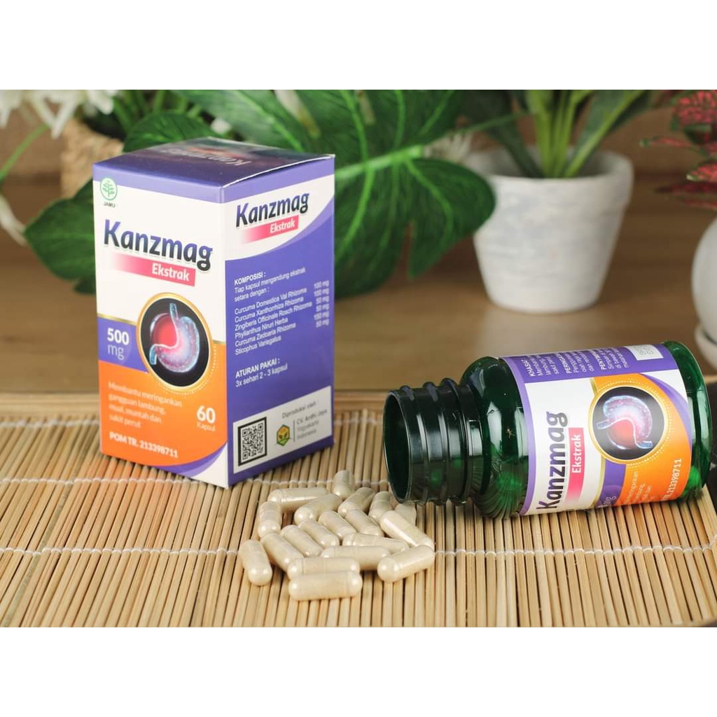 Jual Kanzmag Ekstrak Isi 60 Kapsul Herbal Asam Lambung Gerd Mual Muntah ...
