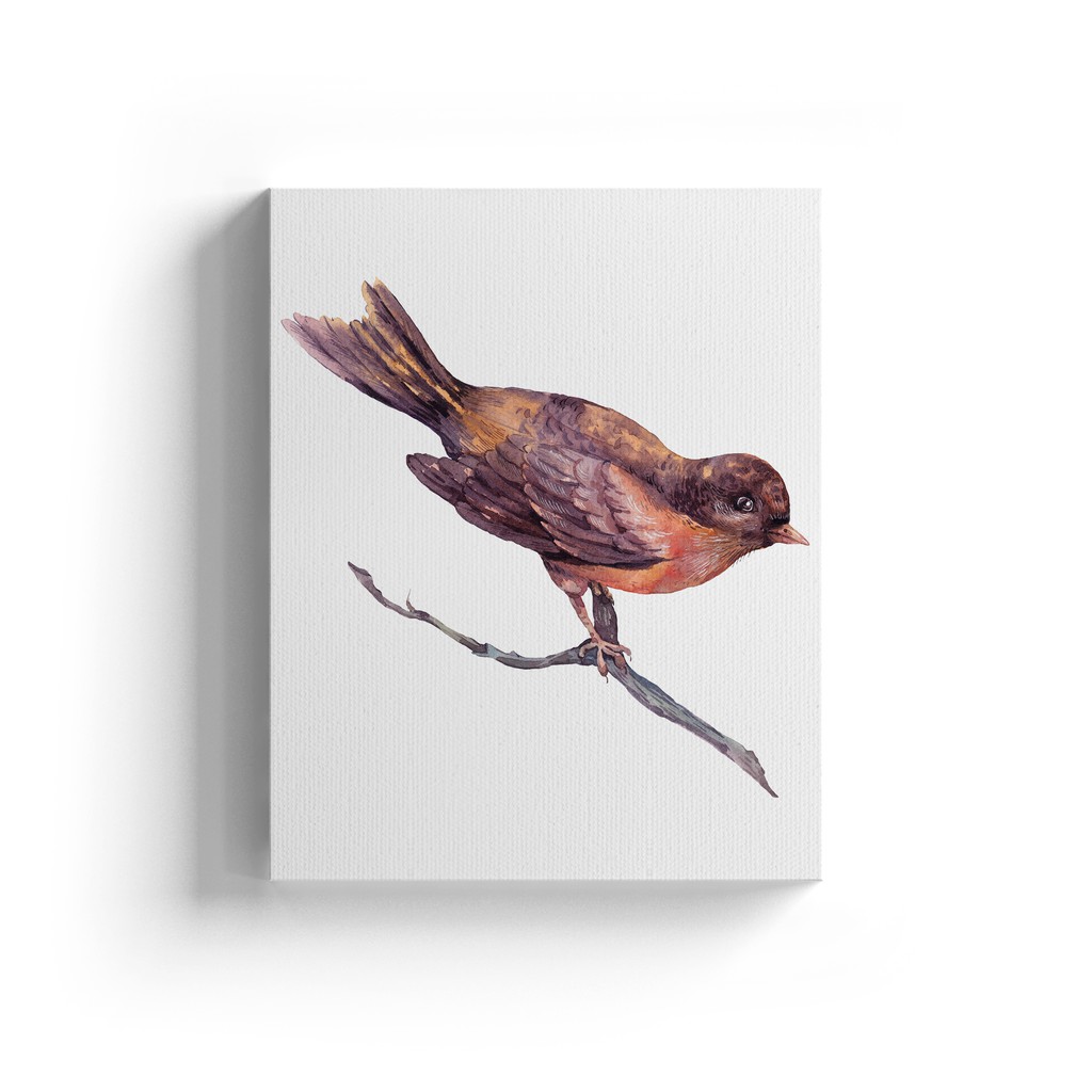 Jual Lukisan Dekorasi Bird Poster Kanvas Hiasan Dinding Burung 20x25cm ...
