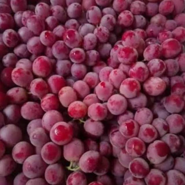 Jual Buah anggur ausi 500 gram fresh | Shopee Indonesia