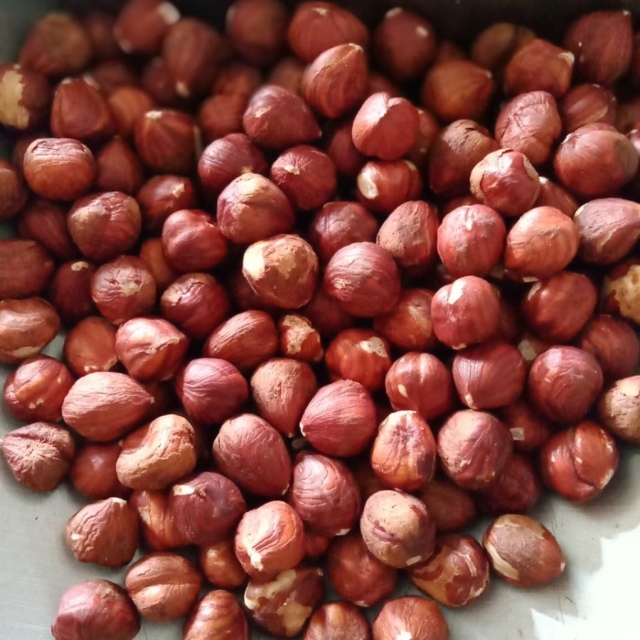 Jual Kacang Hazel Natural Hazelnut Kernels Raw 1kg 1000gr | Shopee Indonesia