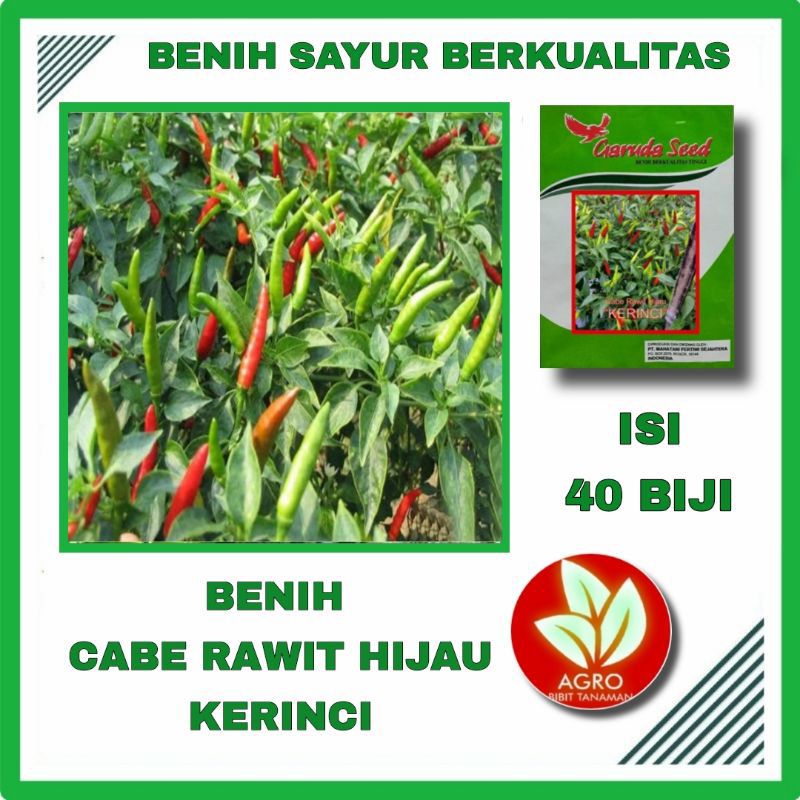 Jual BENIH CABE RAWIT HIJAU UNGGUL KEMASAN ZIPACK 40 BIJI - CABE LALAP ...