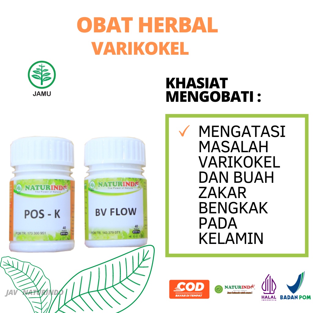 Jual Obat Varikokel Obat Buah Zakar Bengkak Obat Verikokel Testis ... Jual Obat Varikokel Obat Buah Zakar Bengkak Obat Verikokel Testis ...