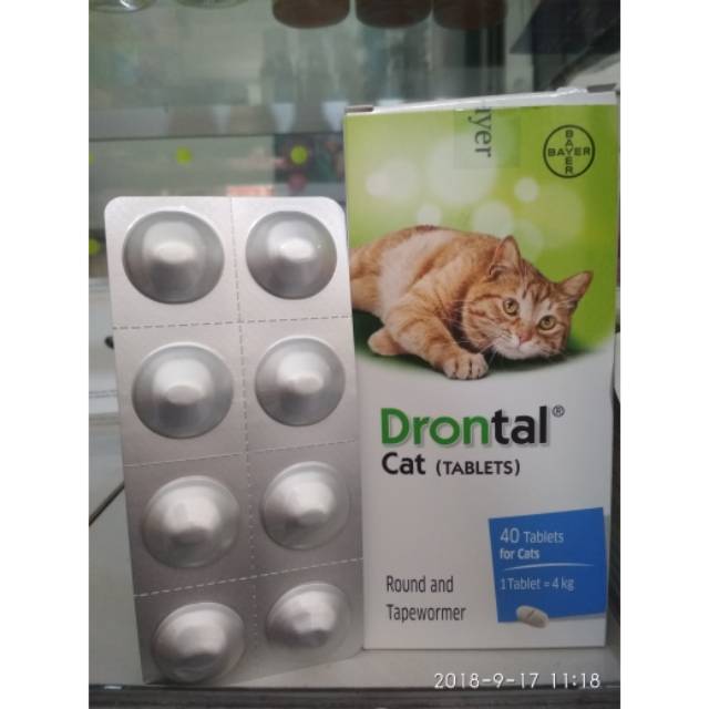 Jual DRONTAL CAT OBAT CACING / 1 tablet | Shopee Indonesia