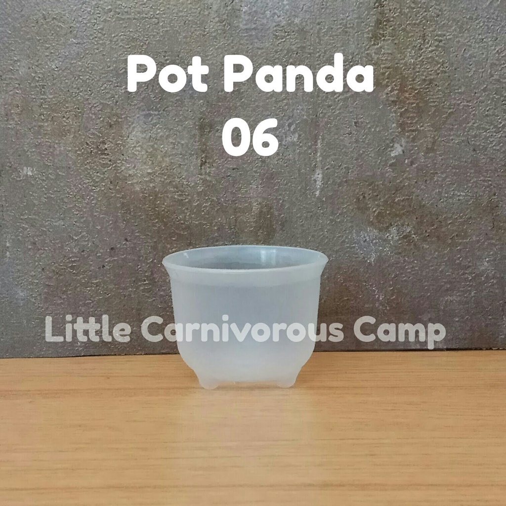 Jual POT PANDA 06 / 6 pot mini kecil BENING HITAM MERAH HIJAU BIRU nkt ...