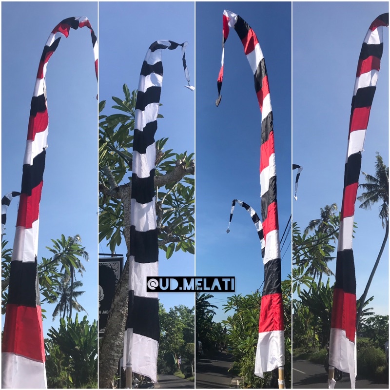 Jual UMBUL UMBUL BALI POLENG PONTANG | Shopee Indonesia