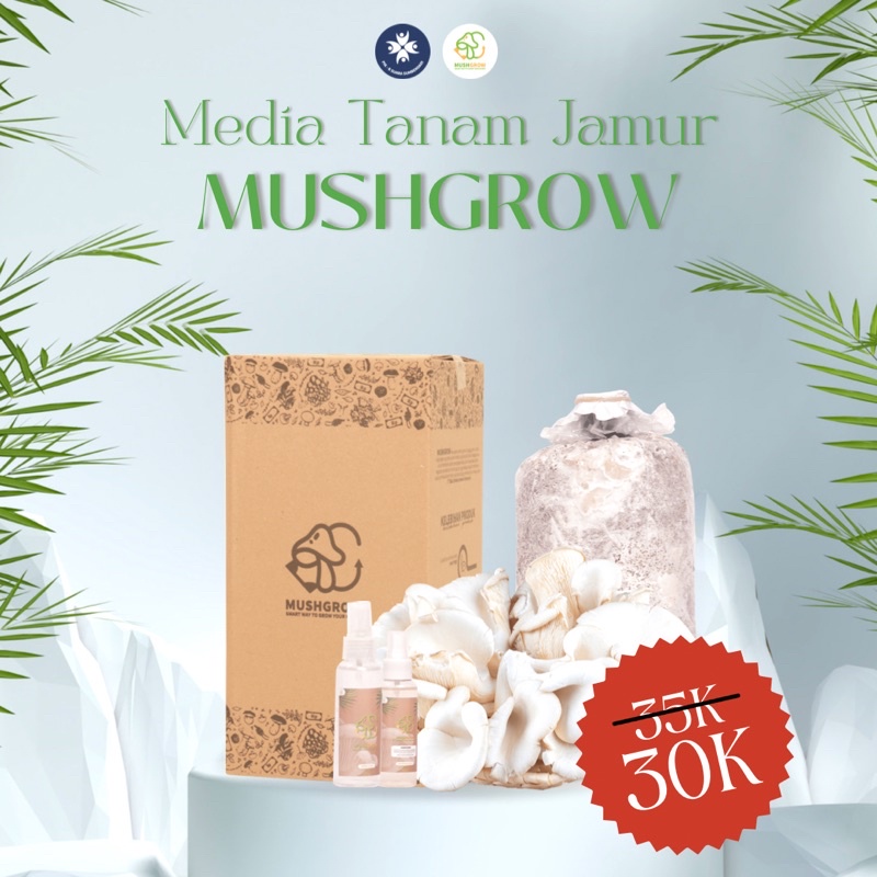 Jual Media Tanam Jamur Tiram Putih | Grow Kit MUSHGROW | Shopee Indonesia