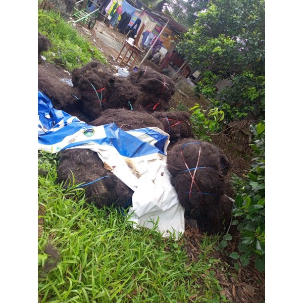 Jual Ijuk Resapan 1 kg | Shopee Indonesia