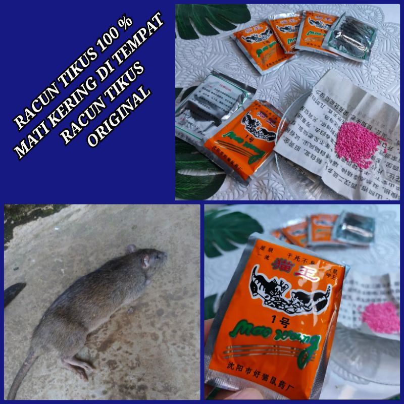 Jual RACUN TIKUS ORIGINAL 100% LANGSUNG MATI KERING DI TEMPAT | Shopee ...