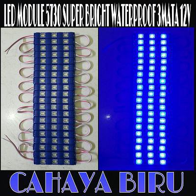 Jual Led Module 5730 Super Bright Waterproof 3mata 12v | Shopee Indonesia