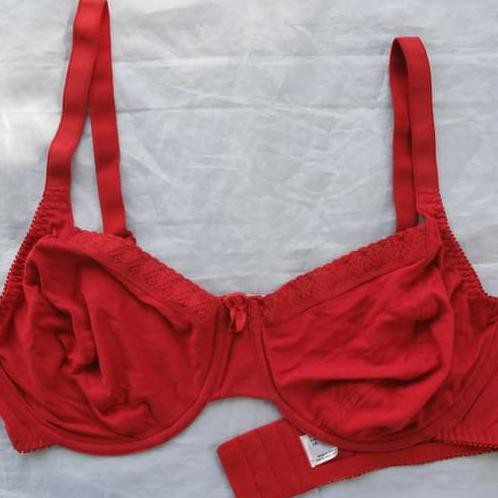 Jual Terlarisseller# Bon Prix Minimizer Bra Yew Red Ppe Size 40Abcd ...