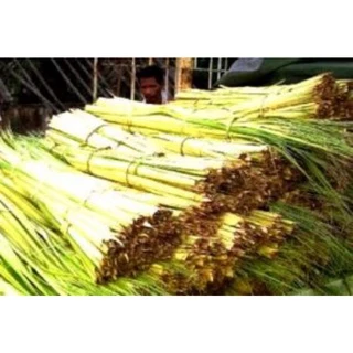 Jual janur kuning Harga Terbaik & Termurah Desember 2025 | Shopee Indonesia