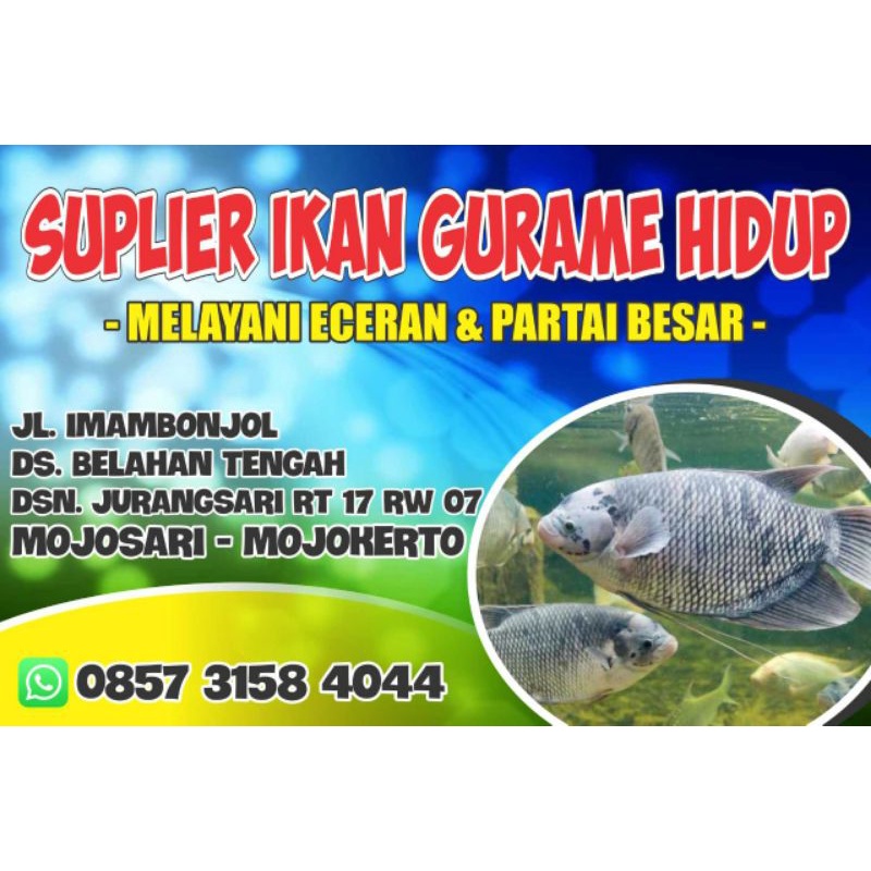 Jual Cetak Banner Suplier Ikan Gurame Hidup | Shopee Indonesia