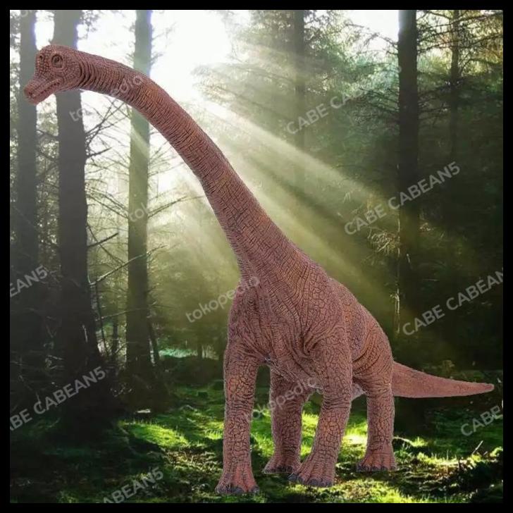 Jual Mainan Dinosaurus Brontosaurus Figure Brachiosaurus Jurassic Dino ...