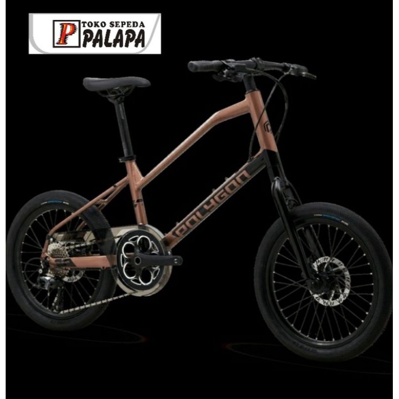 Jual SEPEDA MINIVELO 20 POLYGON ZETA 2 Mini Velo 2.0 | Shopee Indonesia