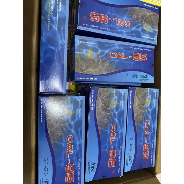Jual Cal 95 / cal95 / box / suplemen | Shopee Indonesia