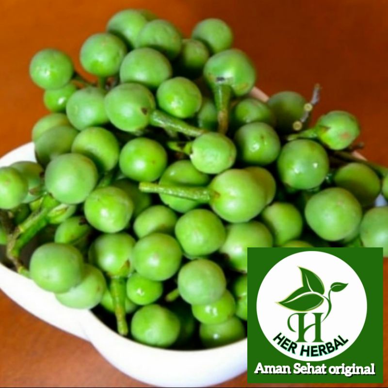 Jual Buah cepokak atau takokak segar 1kg | Shopee Indonesia