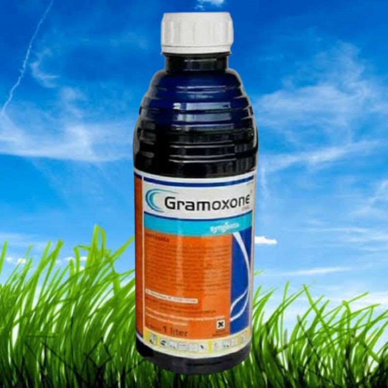 Jual GRAMOXONE 1 L/racun rumput/pembasmi rumput - Herbisida Kontak ...