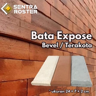 Jual Bata Expose Terlengkap & Harga Terbaru Mei 2024 | Shopee Indonesia