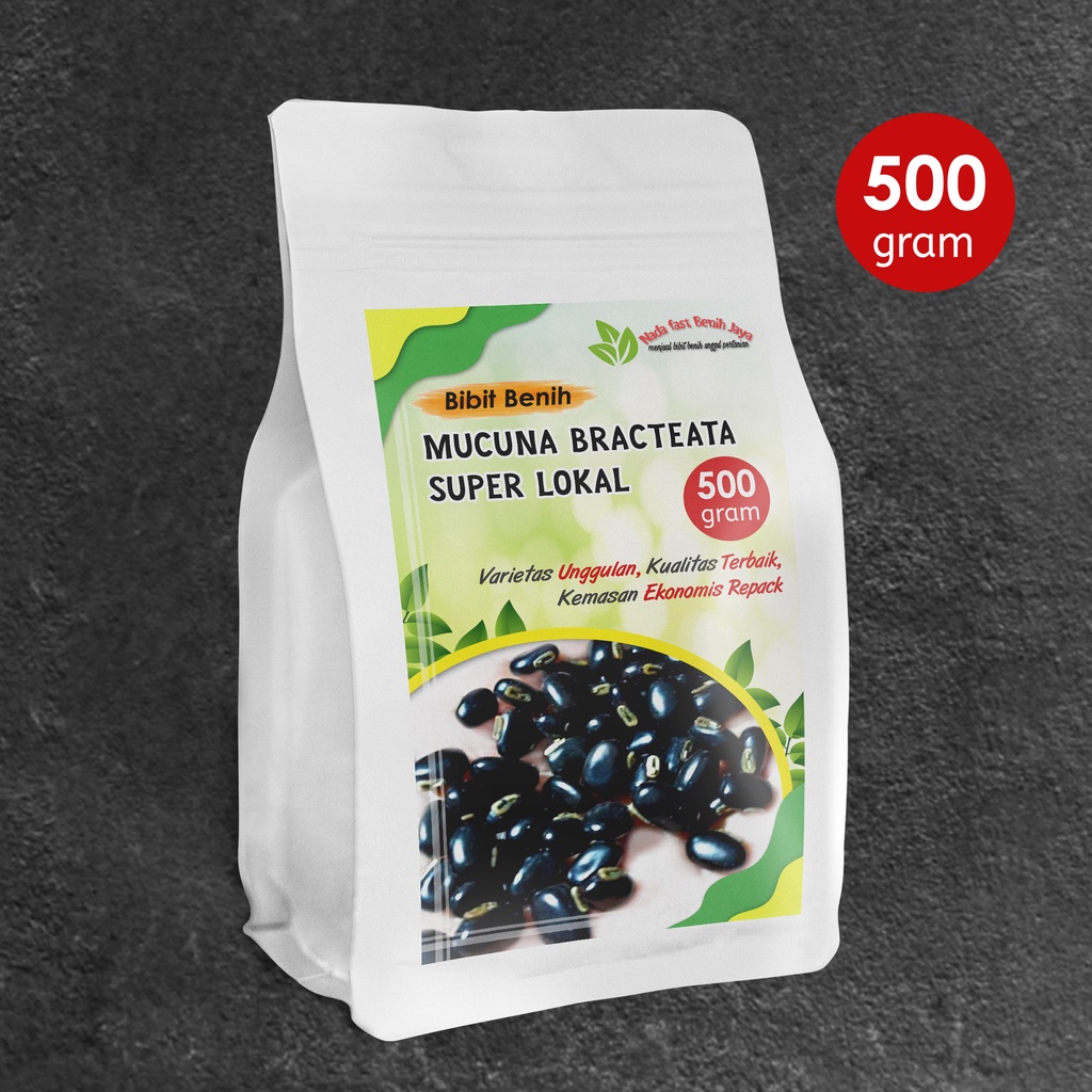 Jual Benih Mucuna bracteata 1kg dan 500 gram varian super lokal bibit ...