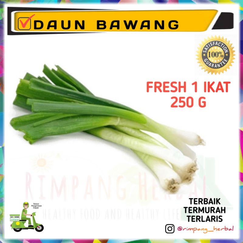 Jual daun bawang | loncang fresh | sayur segar | bumbu dapur | termurah ...