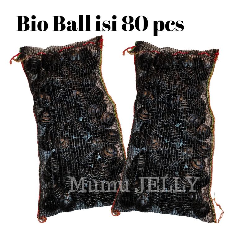 Jual BIO BALL MEDIA FILTER DENGAN KANTONG JARING WARING 80PCS | Shopee ...