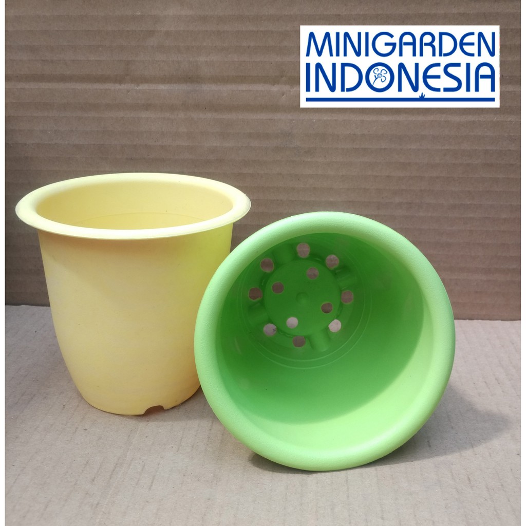 Jual Pot bunga lavender dia 12 x11 cm u benih bibit tanaman hias ...