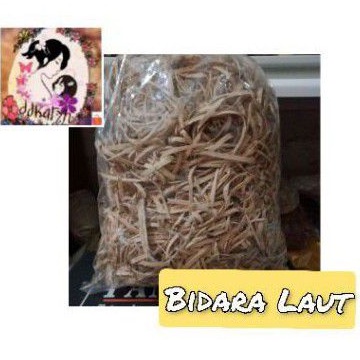 Jual widara laut /Bidara Laut kering 500gr | Shopee Indonesia