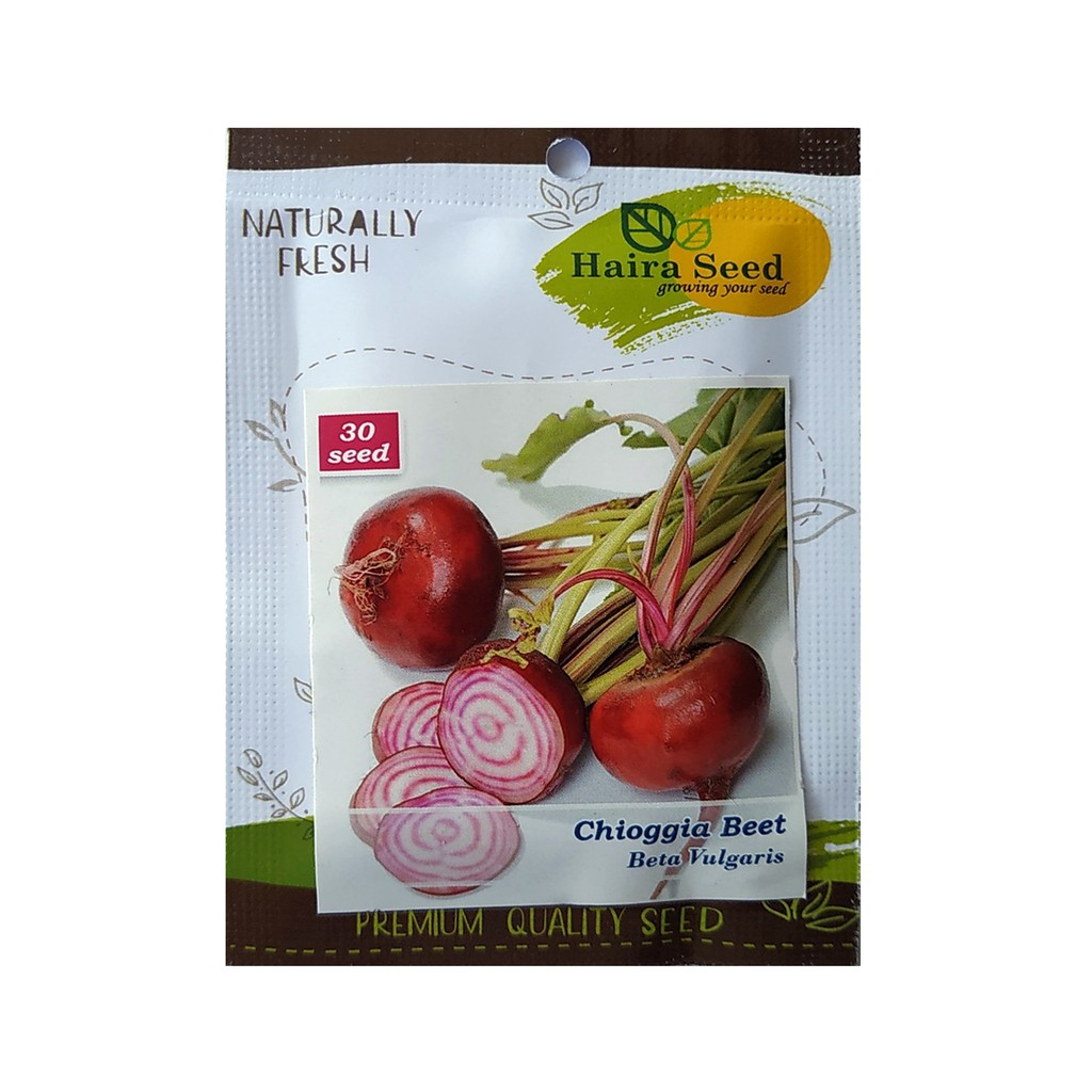 Jual Benih Chioggia Beet Haira Seed Kemasan Urban Isi 30 Butir Biji ...