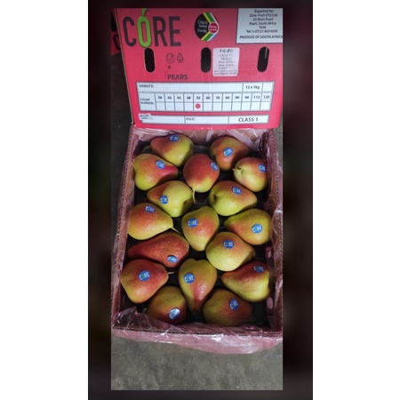 Jual Pear Forrell Afrika/buah pir forrell/jambu merah | Shopee Indonesia