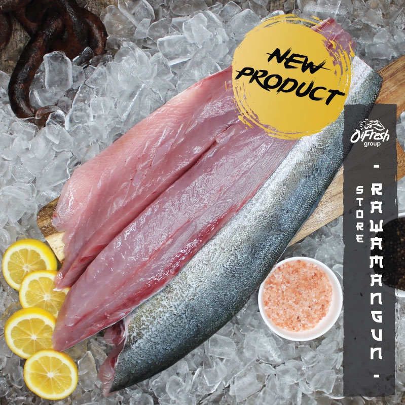 Jual Ikan Tenggiri Fillet PREMIUM LOKAL Segar dan Bergaransi / Pack ...