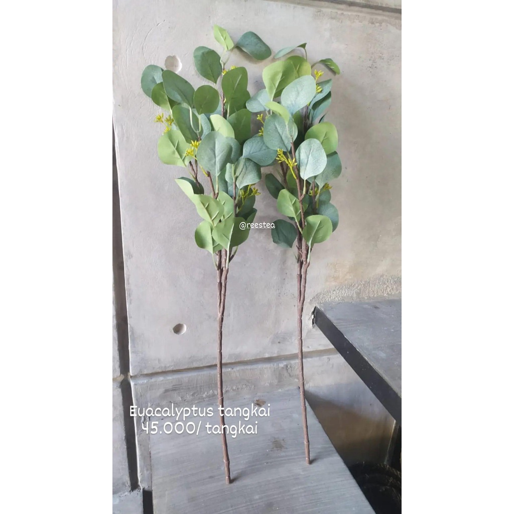 Jual Tanaman Artificial Eucalyptus tangkai | Shopee Indonesia